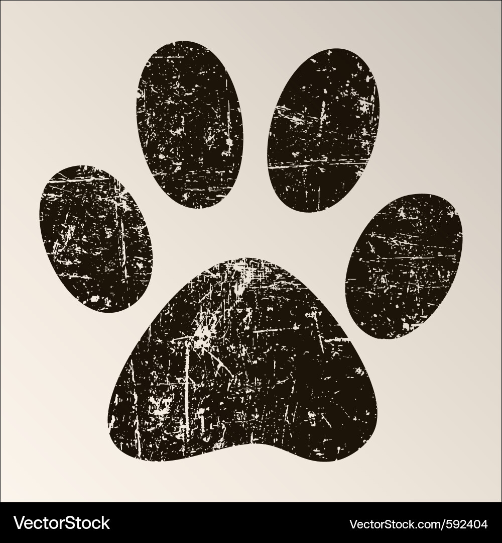 Paw print Royalty Free Vector Image - VectorStock
