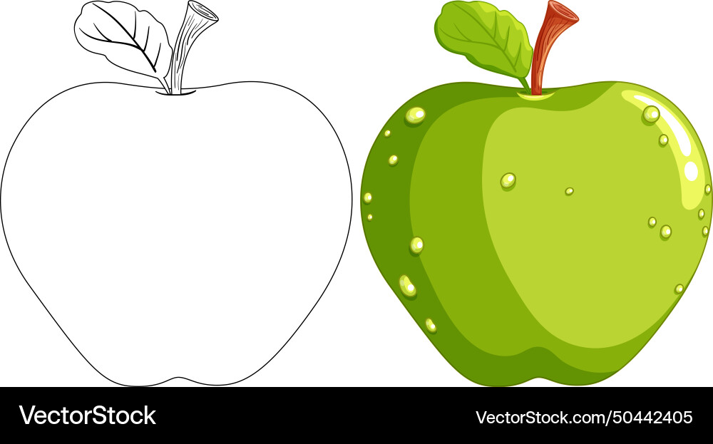 An apple line art and colored Royalty Free Vector Image