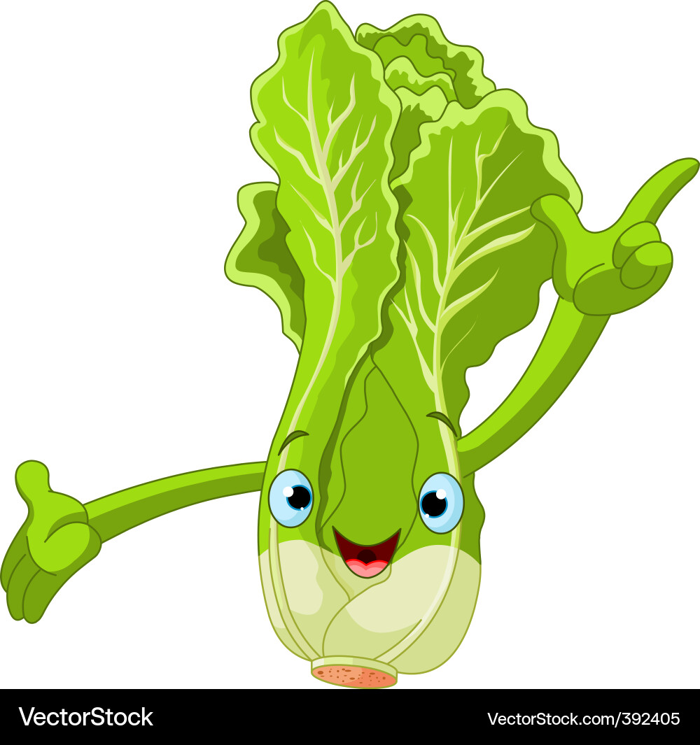Cartoon lettuce character Royalty Free Vector Image