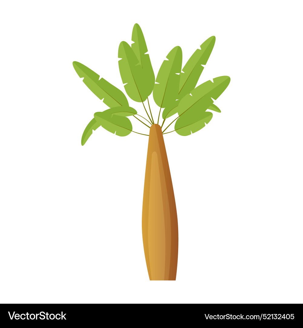 Exotic palm tree from tropical summer beach Vector Image