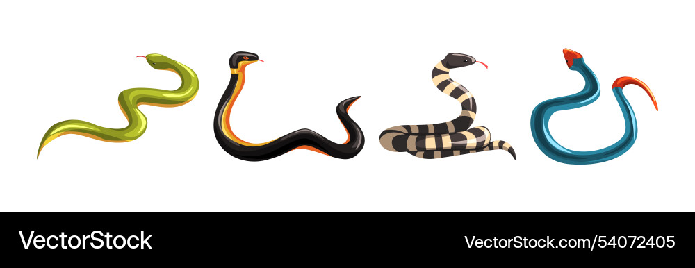 Venomous snake and serpent of different type Vector Image