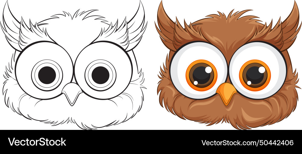 An owl colored and line art Royalty Free Vector Image