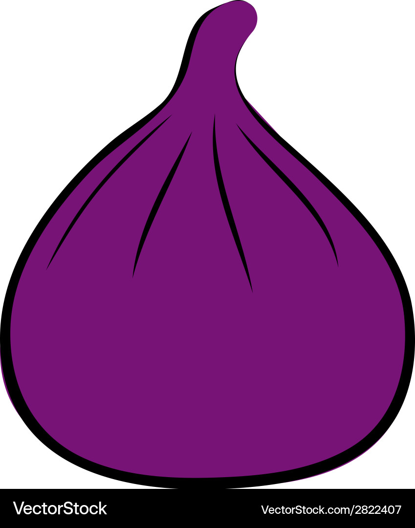 Icon of fig Royalty Free Vector Image - VectorStock