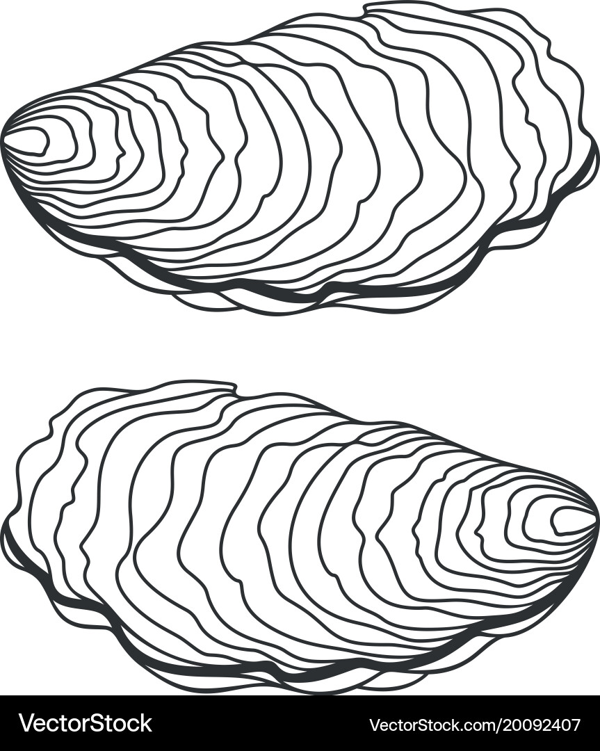 Oyster Royalty Free Vector Image - VectorStock