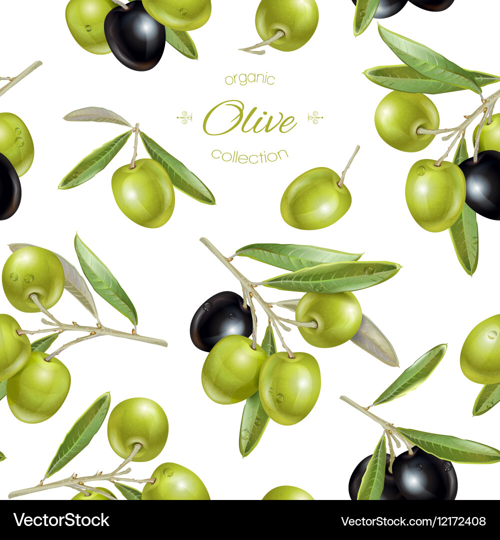 Olive seamless pattern Royalty Free Vector Image