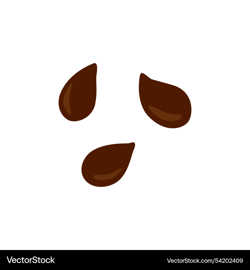 Apple seed isolated apples seeds group Royalty Free Vector