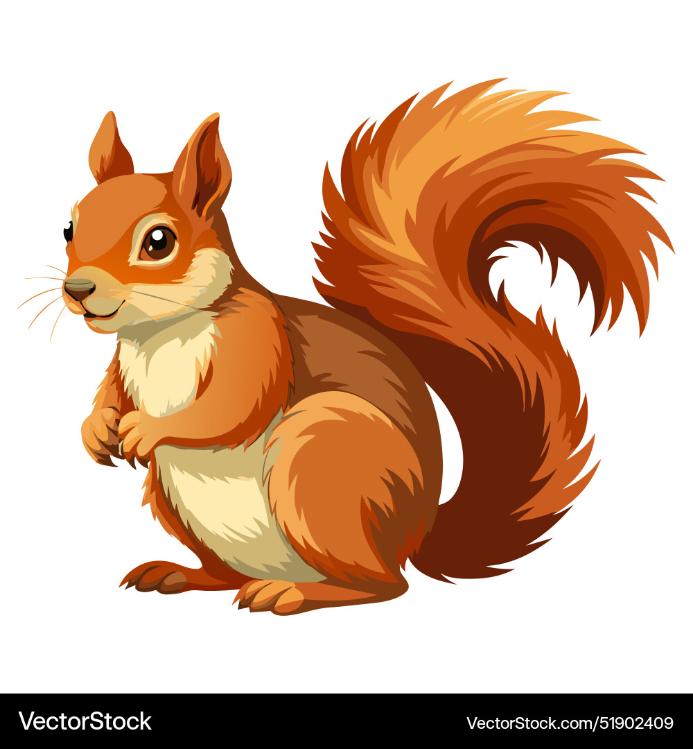 Realistic squirrel sitting and looking straight Vector Image