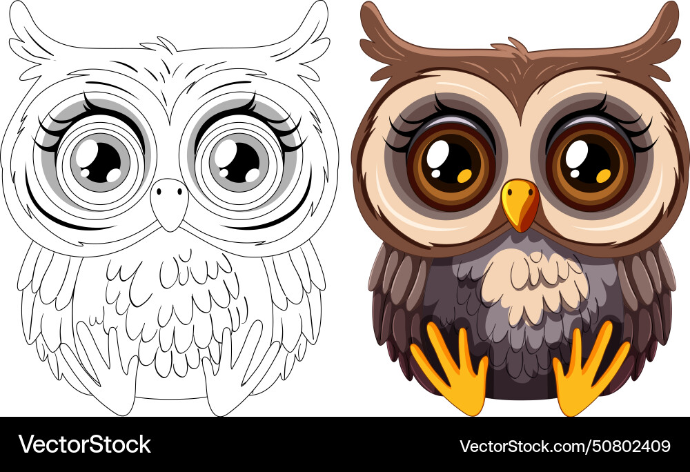 Two stylized owls one colored and line art Vector Image