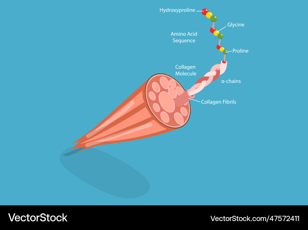 3d isometric flat conceptual Royalty Free Vector Image