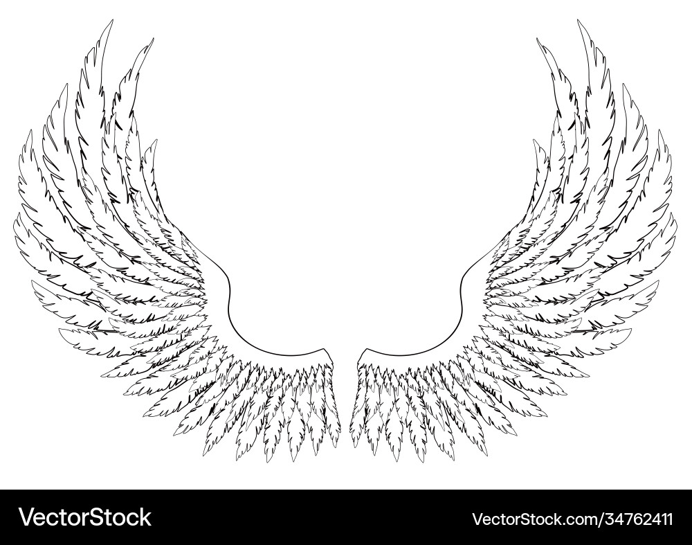 Black and white hand-drawn wings Royalty Free Vector Image