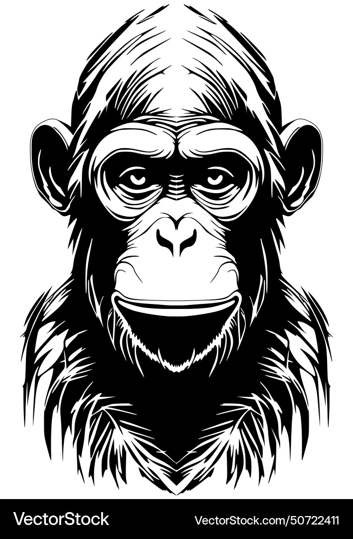 Chimpanzee Royalty Free Vector Image - VectorStock