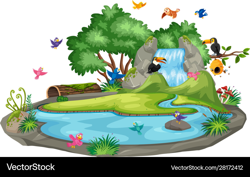 Background scene birds at waterfall Royalty Free Vector