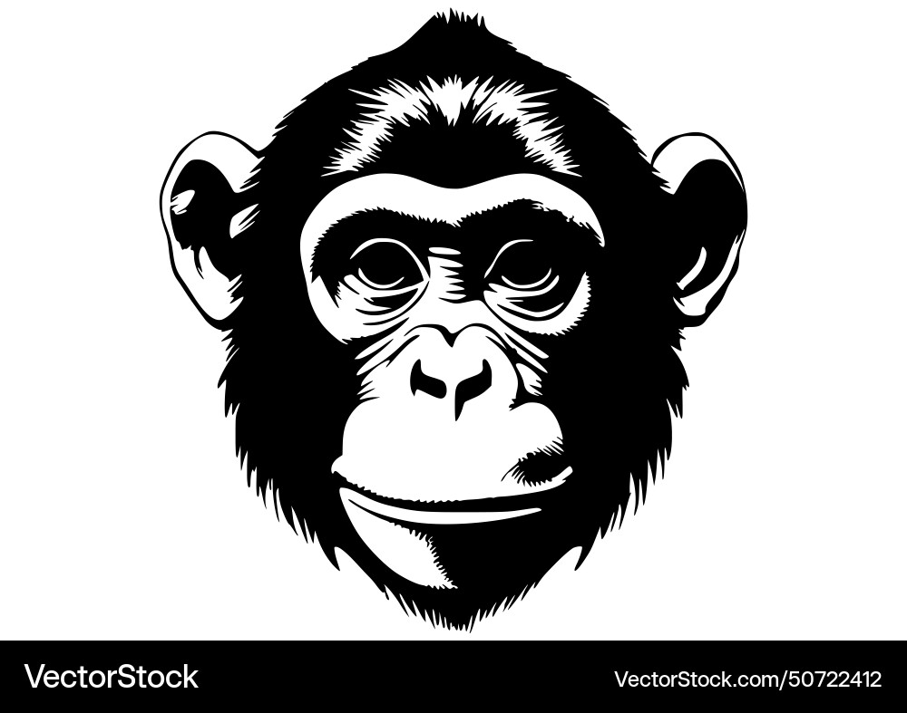 Chimpanzee Royalty Free Vector Image - VectorStock