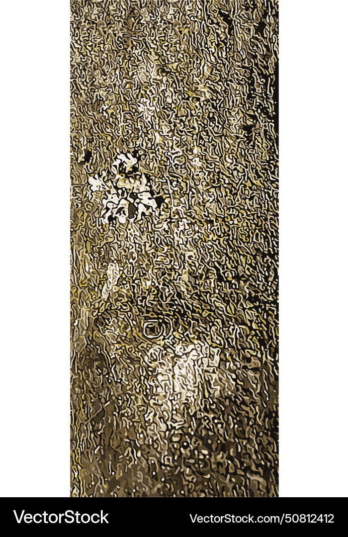Exochorda tree bark background Royalty Free Vector Image