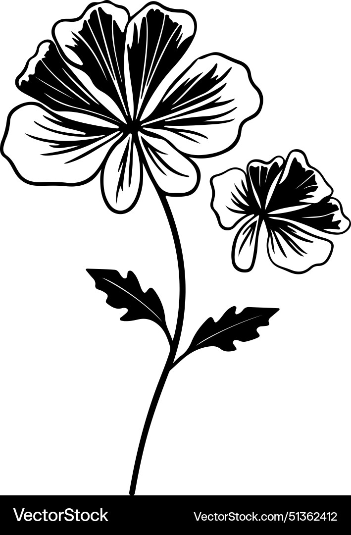 Geranium flower silhouette white background Vector Image