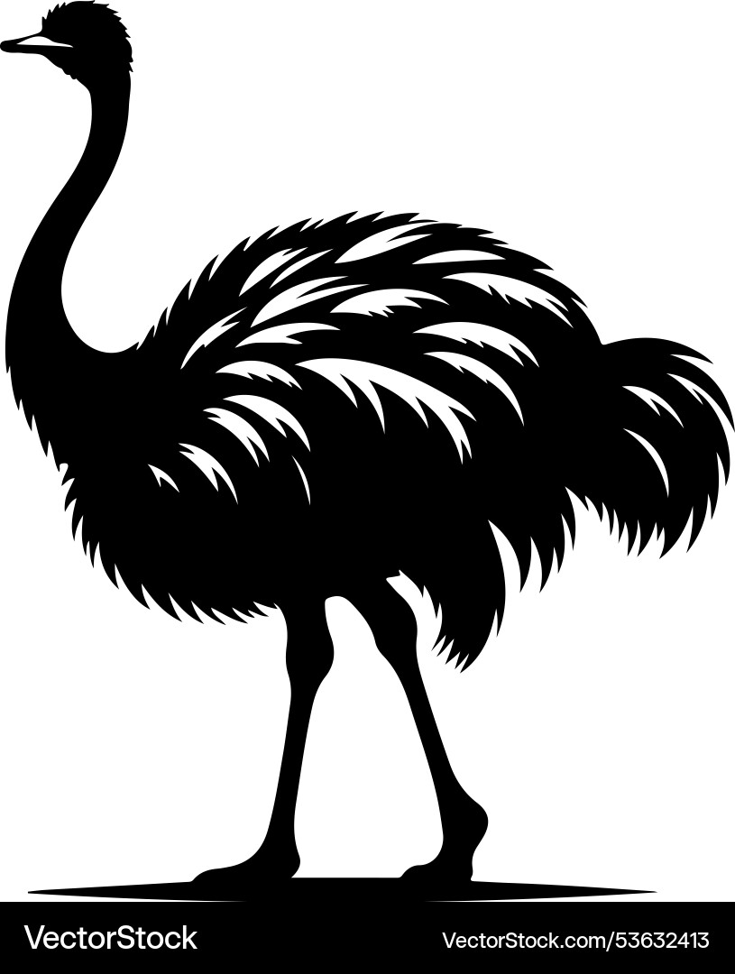 Emu silhouette art Royalty Free Vector Image - VectorStock