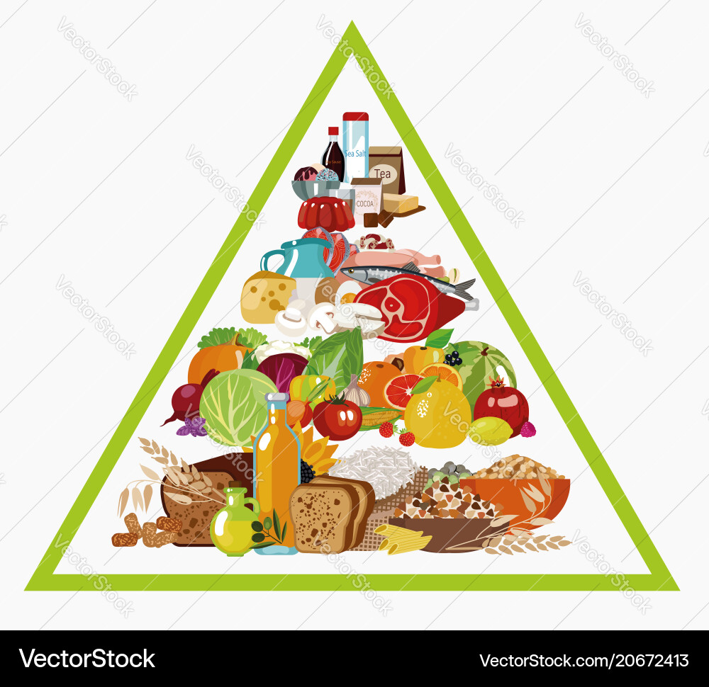 Healthy Food Pyramid Royalty Free Vector Image