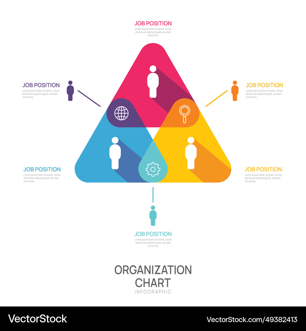 Infographic template for organization chart Vector Image