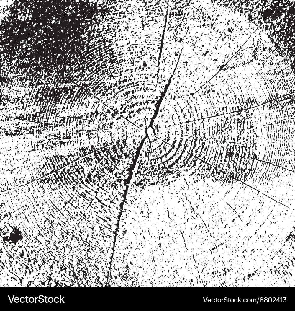 Tree cross section Royalty Free Vector Image - VectorStock