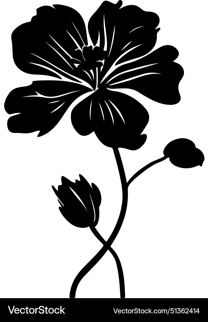 Geranium flower silhouette white background Vector Image