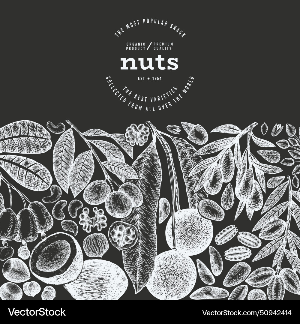 Hand drawn nuts branch and kernels template Vector Image