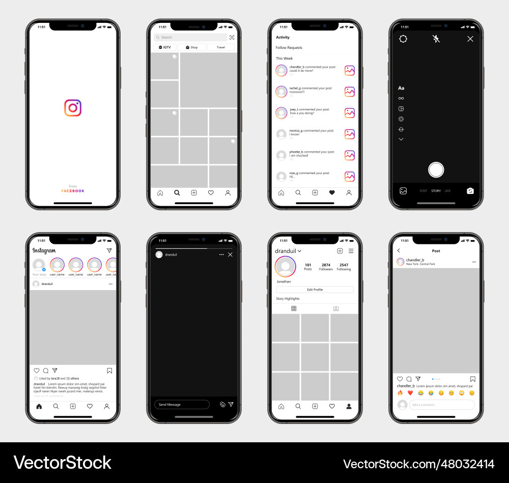 Instagram social network interface template Vector Image