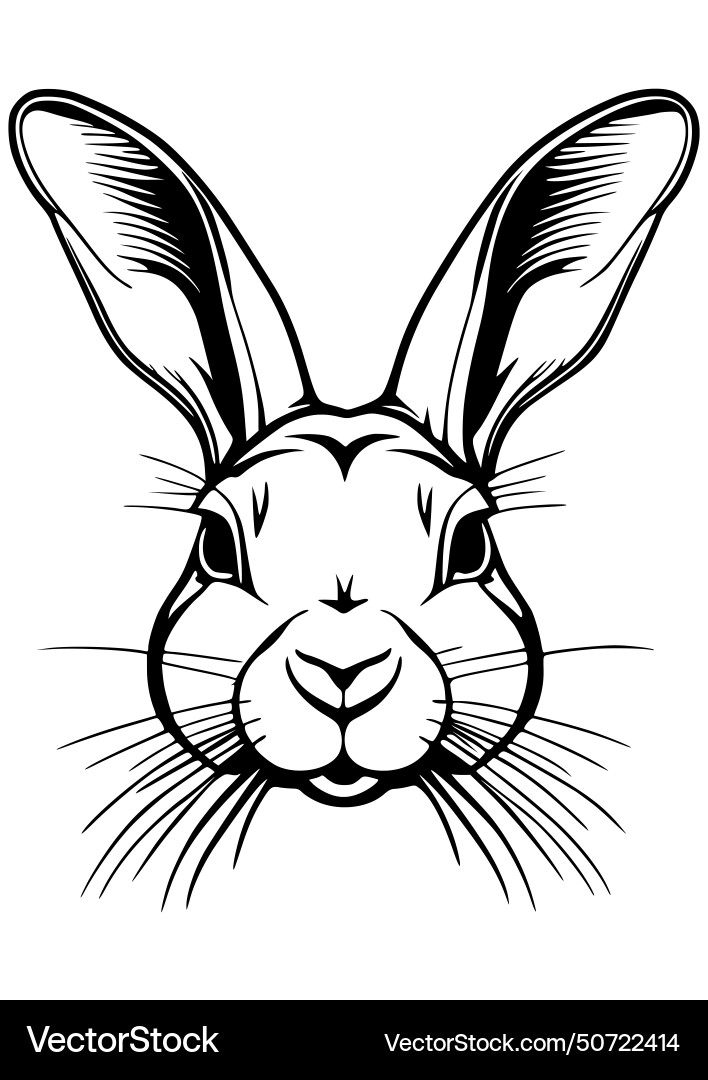 Rabbit Royalty Free Vector Image - VectorStock