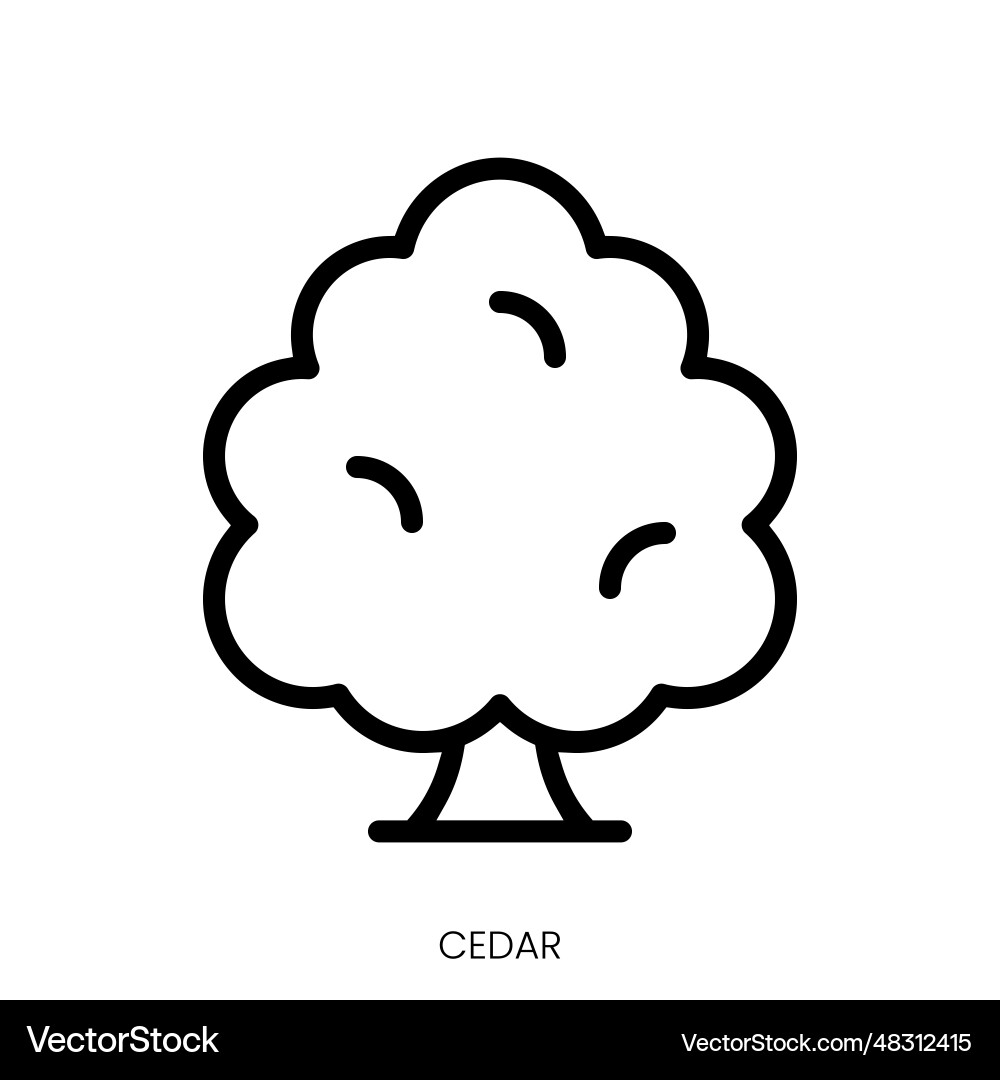Cedar icon line art style design isolated Vector Image