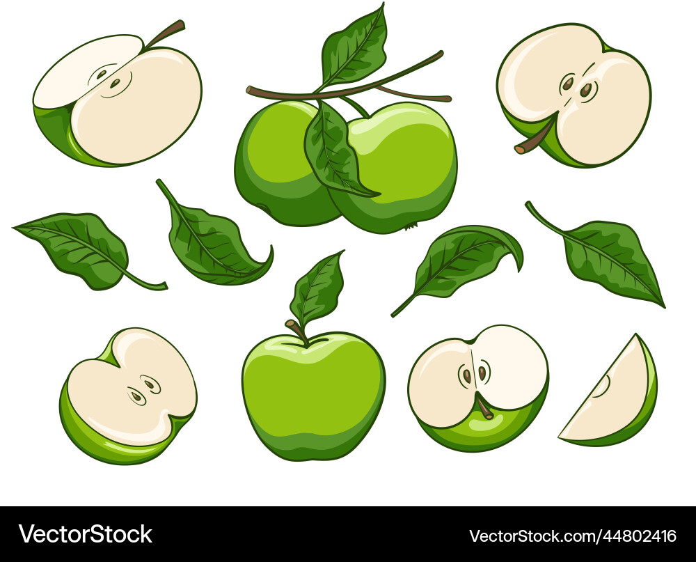 Cartoon green apple Royalty Free Vector Image - VectorStock
