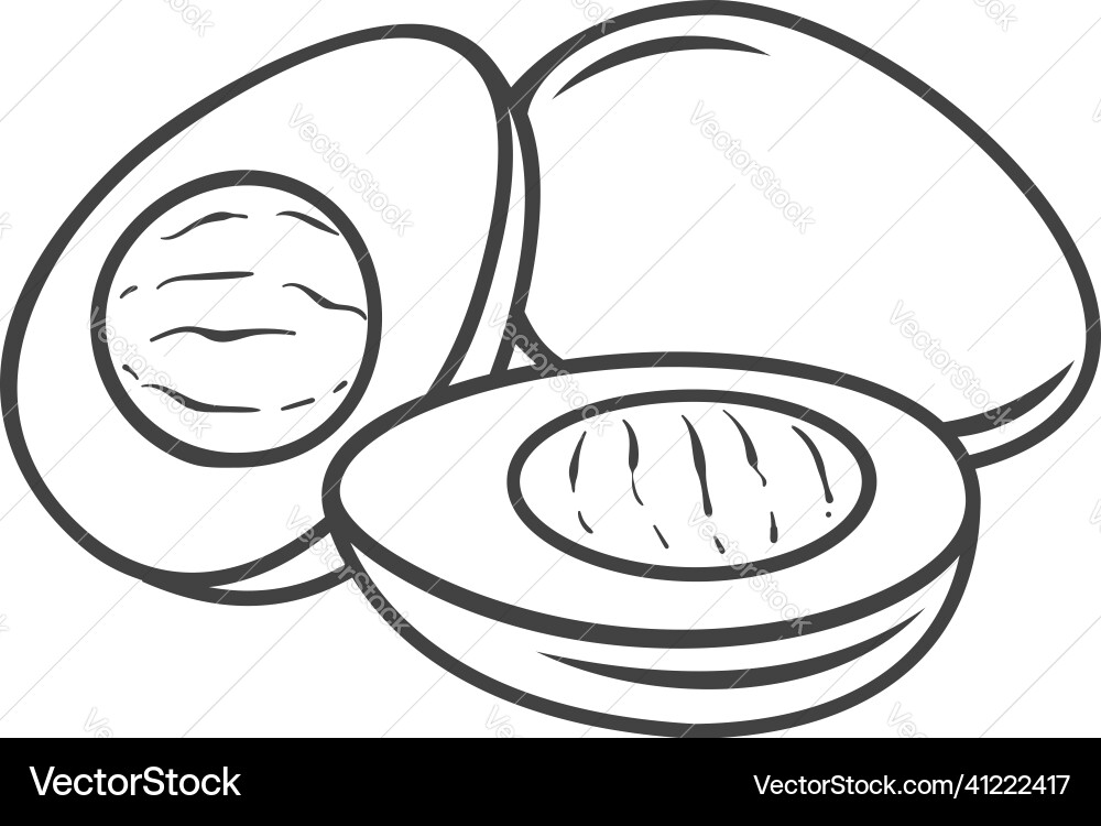 Boiled chicken eggs Royalty Free Vector Image - VectorStock