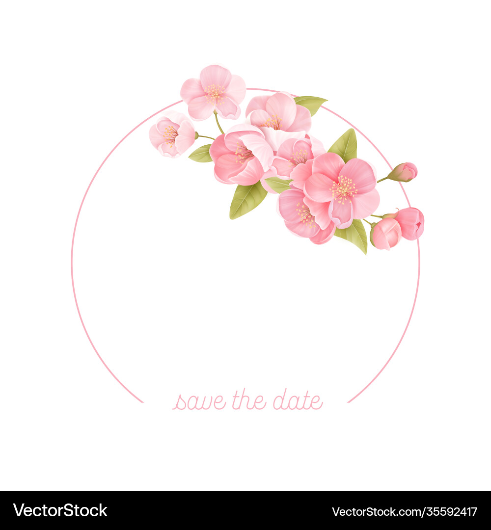 Sakura Blossom Floral Frame Royalty Free Vector Image