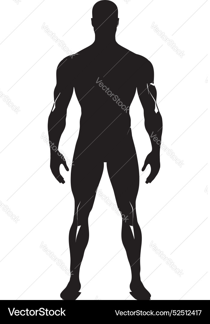 Shadow samurai of the shade abyssal Royalty Free Vector