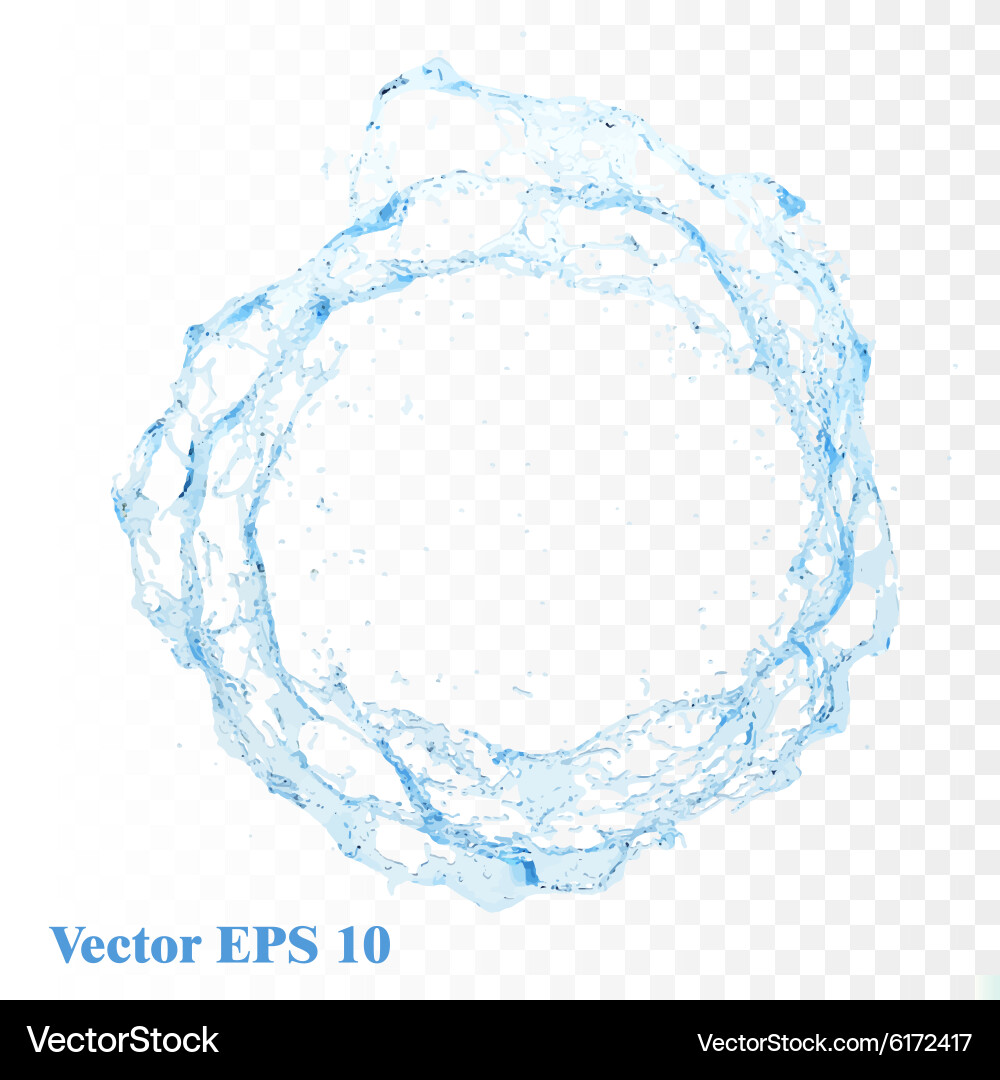 Water splash isolated Royalty Free Vector Image