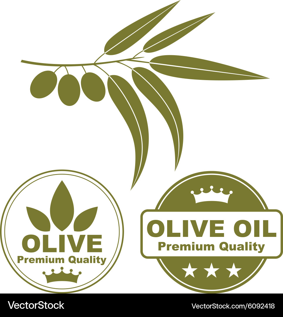 Olive Royalty Free Vector Image - VectorStock