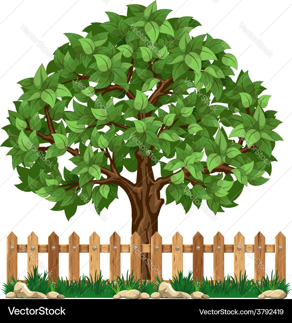 Garden Royalty Free Vector Image - VectorStock