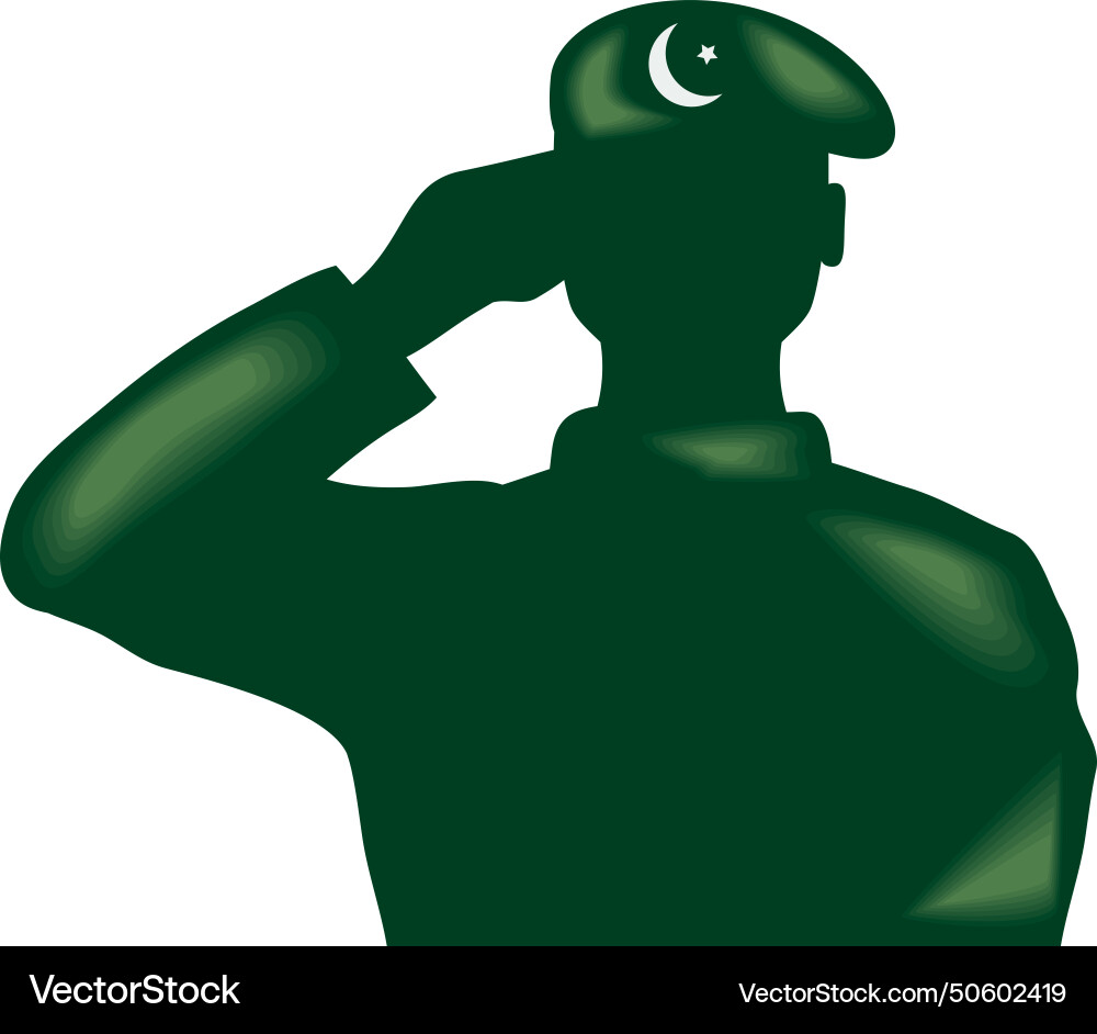 Pakistan soldier saluting Royalty Free Vector Image