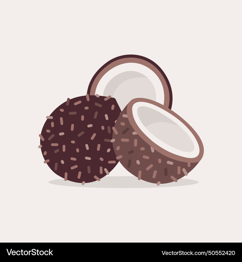 Coconut different types Royalty Free Vector Image