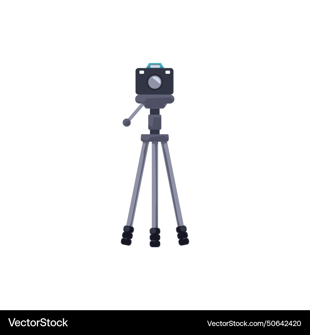 Dslr camera and tripod Royalty Free Vector Image
