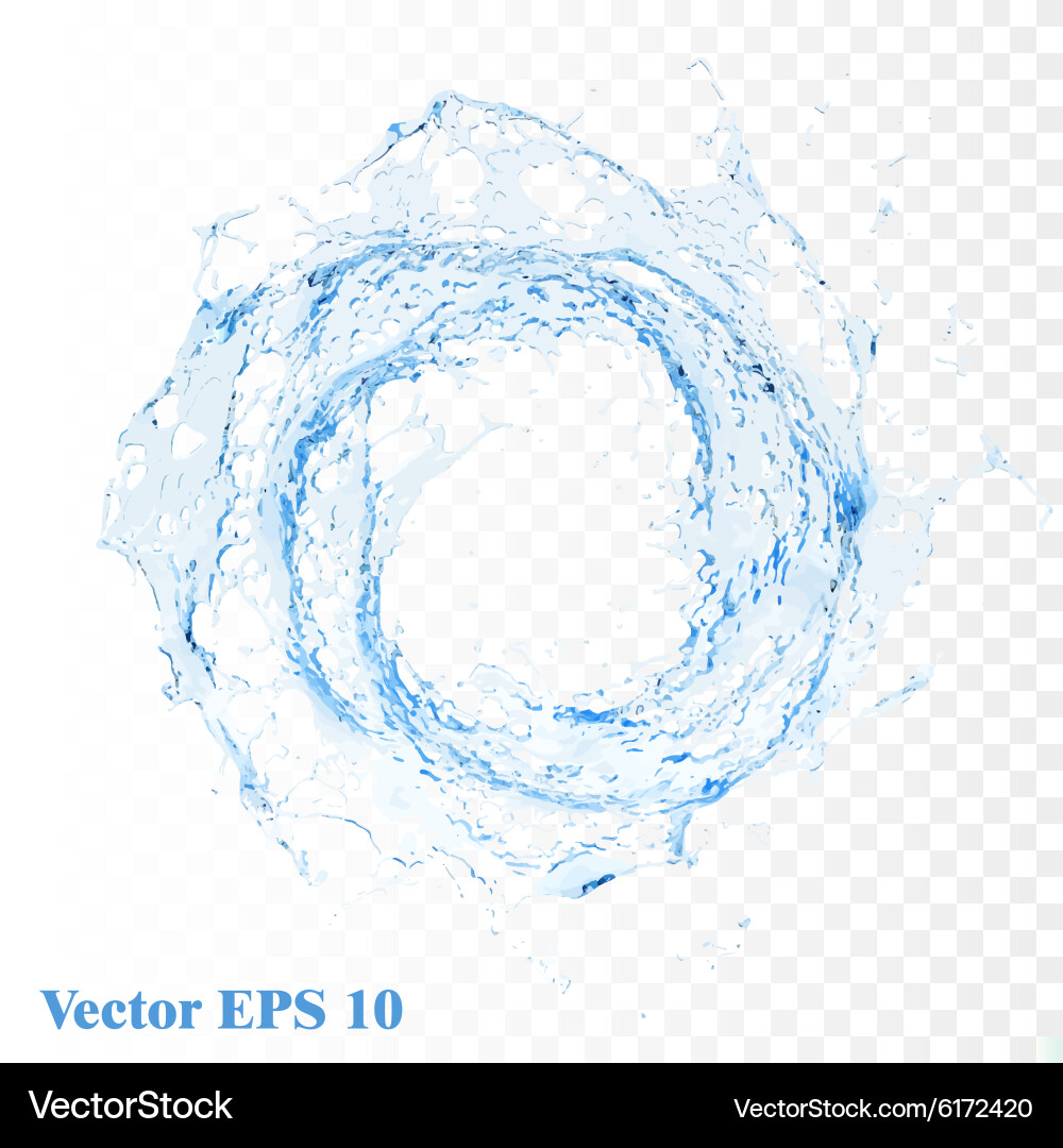 Water splash isolated Royalty Free Vector Image