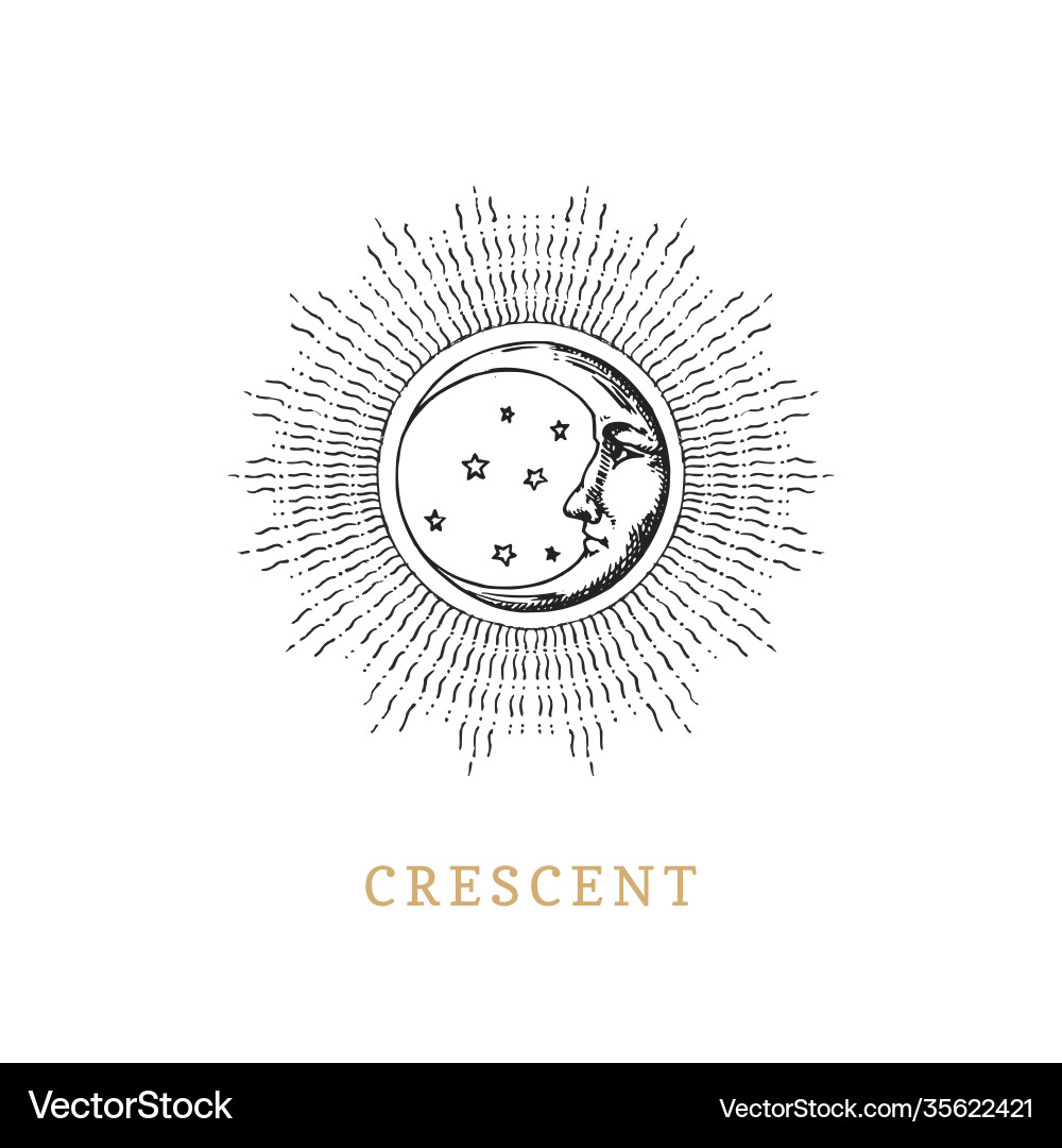 Crescent moon image in engraving style Royalty Free Vector