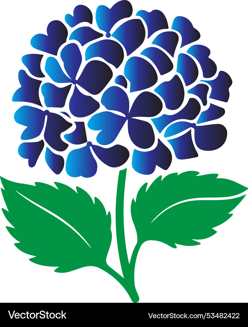 Hydrangea flower silhouette Royalty Free Vector Image