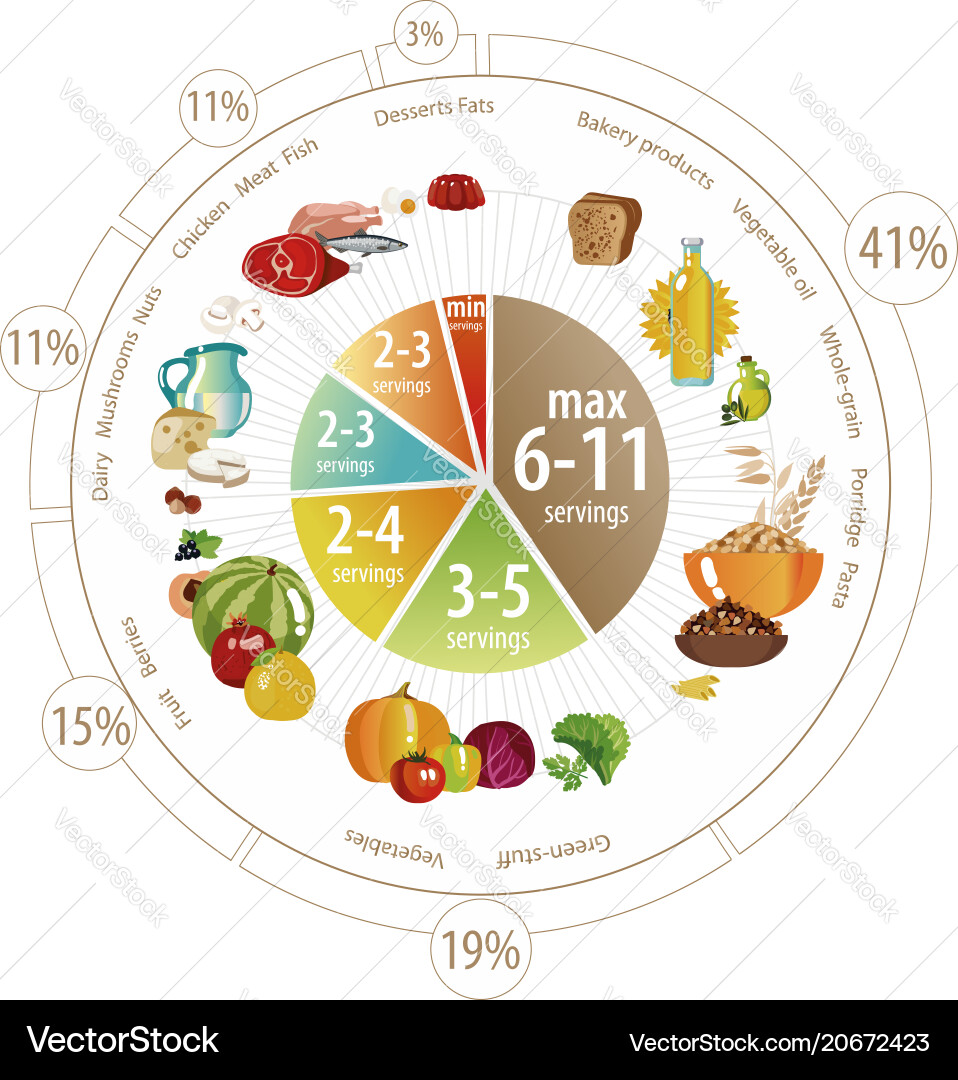Food Pyramid Pie Chart - Dietary Guidelines Vector Image