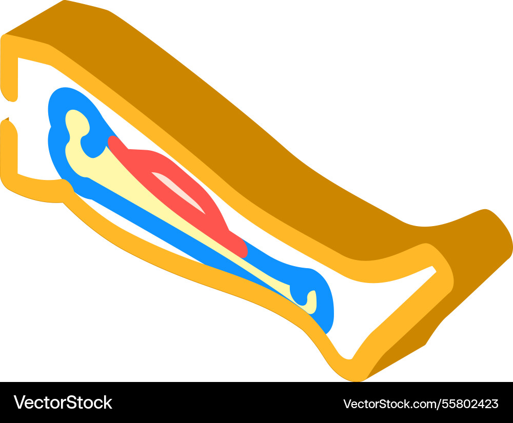 Hairline fracture isometric icon Royalty Free Vector Image