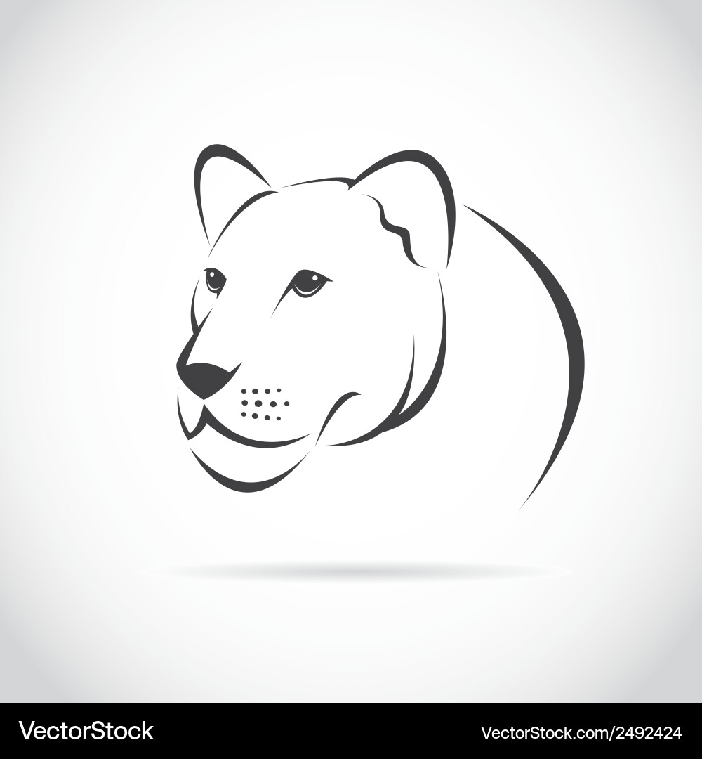 lioness head vector