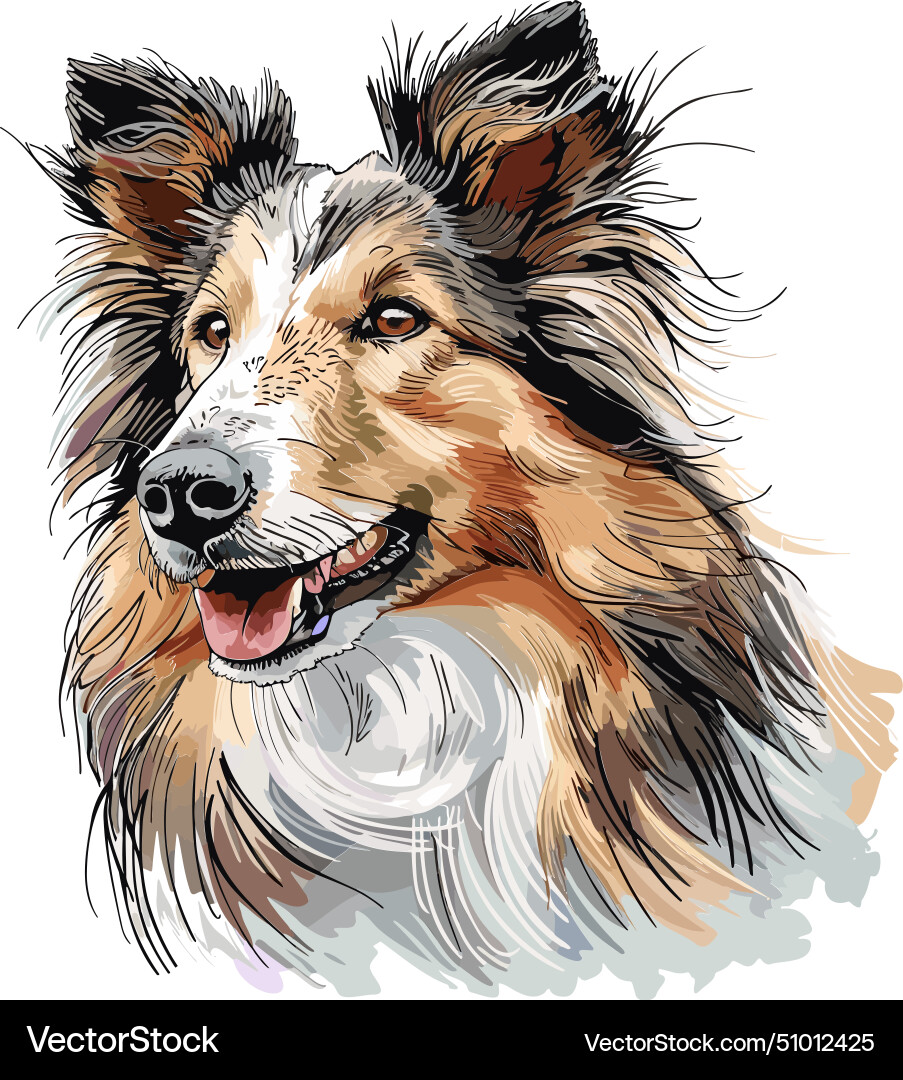 Rough collie dog adorable art Royalty Free Vector Image