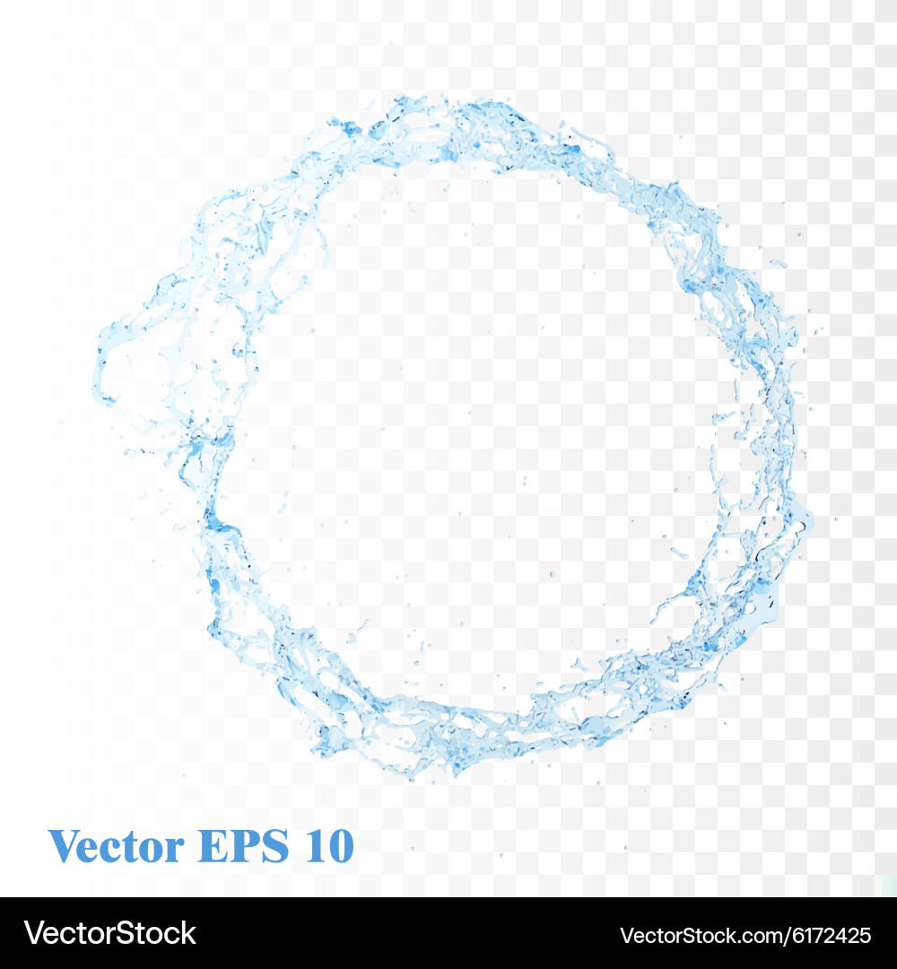 Water splash isolated Royalty Free Vector Image