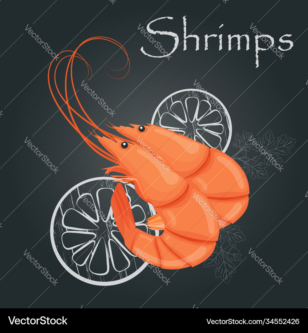 Boiled shrimps cooked tiger prawn Royalty Free Vector Image