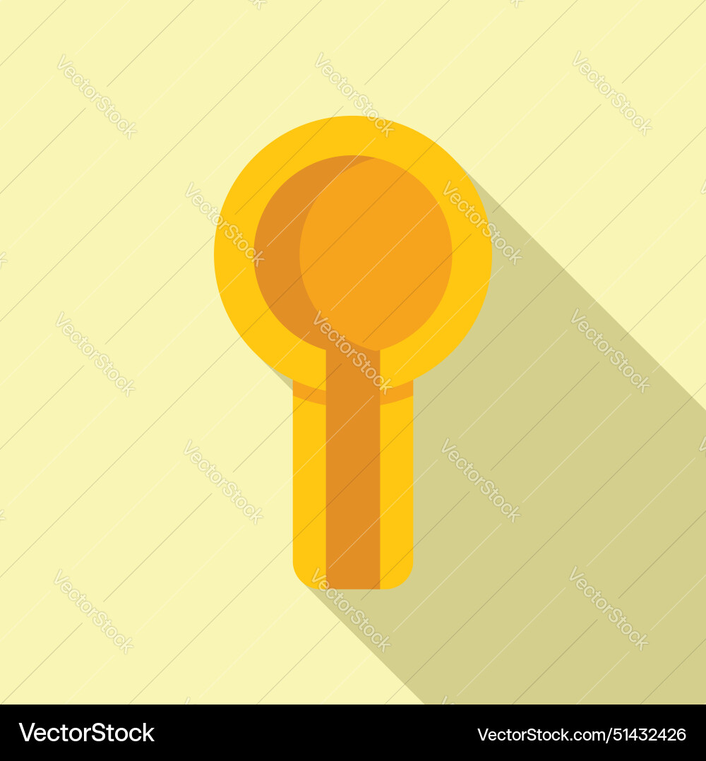 Golden key icon with long shadow Royalty Free Vector Image