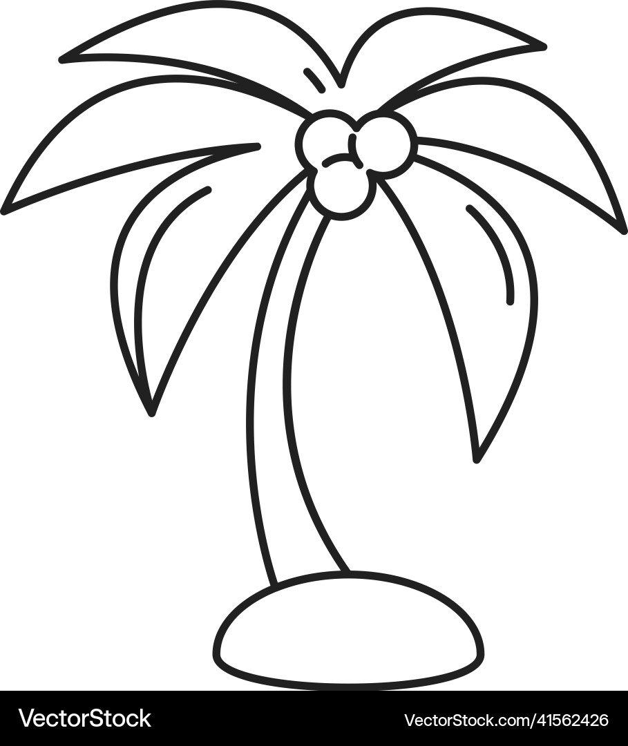 Palm line icon tropical island tree with coconuts Vector Image