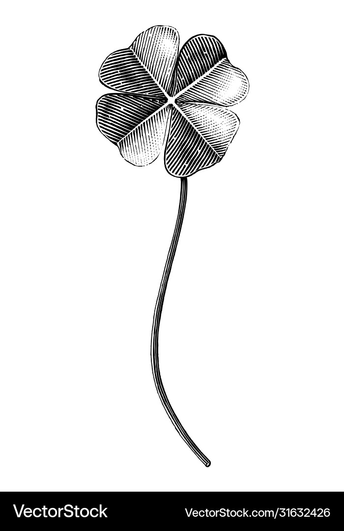 Vintage Clover Leaf Engraving Royalty Free Vector Image